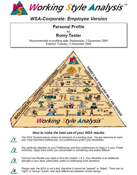 Wsa Employee Learning Styles