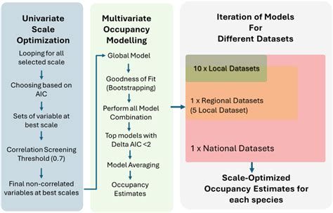 Workflow Of Scale‐optimised Occupancy Modelling For Different Scales Of Download Scientific