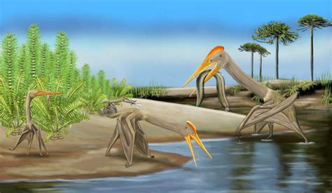 Babies Of Cretaceous Giant Pterosaurs Outcompeted Adults Of Smaller