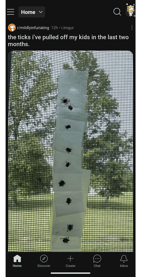 Just Found This While Scrolling Rweird