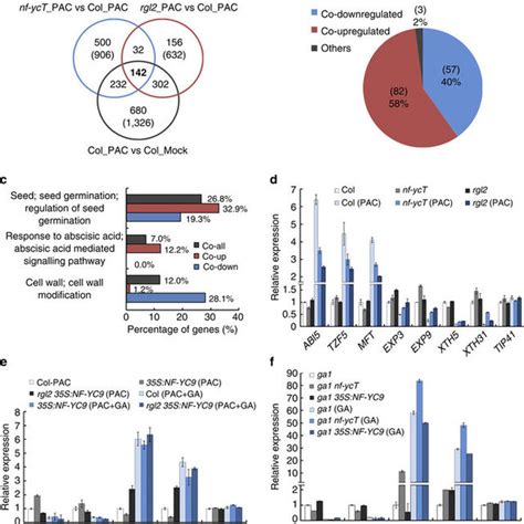 Transcriptomic Analysis Of Regulatory Gene Expression Profiles By