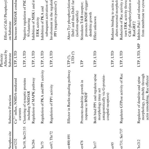 Extra Synaptic Substrates Of Cdk5 With Putative Functions In Synaptic Download Table
