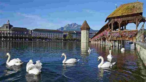 스위스 루체른 구시가지 엥겔베르그 1일 투어 취리히루체른 출발 엥겔베르그 알파인 타운 투어