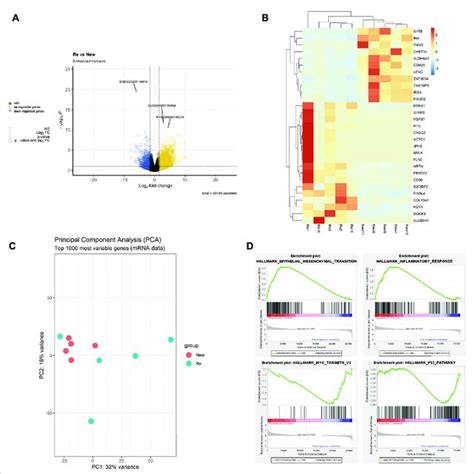 Overview Of Mirna Seq Results Of 12 Recurrent Tumors Vs 13 Primary