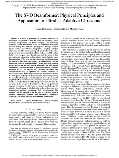 Svd 2 Pdf Matrix Mathematics Ultrasound