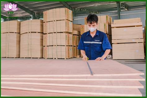 제품 품질 검사 Kr Xnktruongthinh