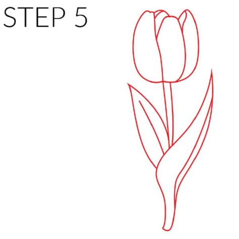 How To Draw A Tulip Easy Step By Step Tutorial Made With HAPPY