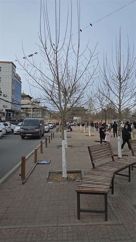 🇲🇳Улсын начин Амарсайхан☺️ Сайхан бөх хараад сэтгэл минь огшоод ирсэн Би чинь бас бөхийн удамтай