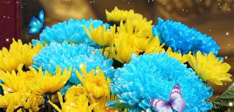 Найкращі побажання в житті привітання On Reels Facebook