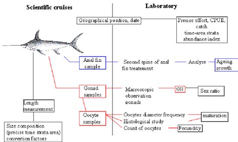 Sampling System Scheme Download Scientific Diagram