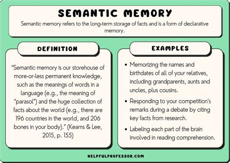 15 Semantic Memory Examples 2025