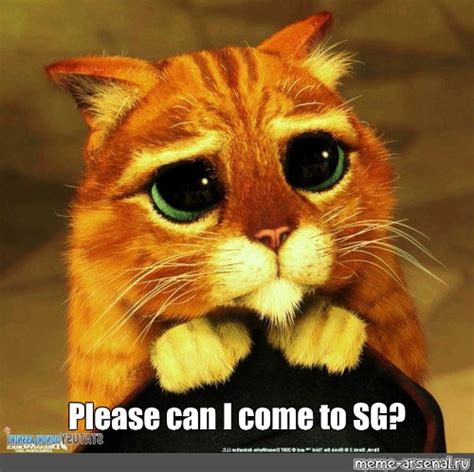 meme please can i come to sg all templates meme