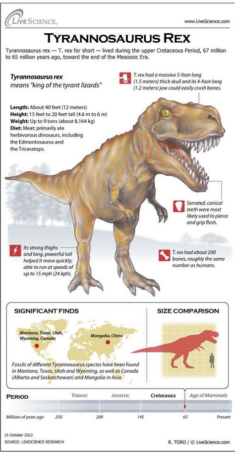 Facts About T Rex Fossils At Lea Warren Blog