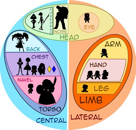 Steven Universe Gem Placement Theory At Zachary Carew Smyth Blog