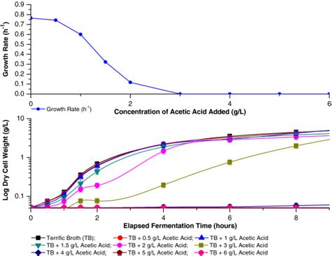 Effect Of Acetic Acid On Growth Of E Coli Bl21 Download