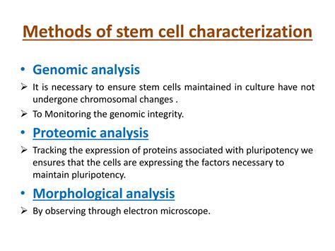 Characterization Of Stem Cells Pptx