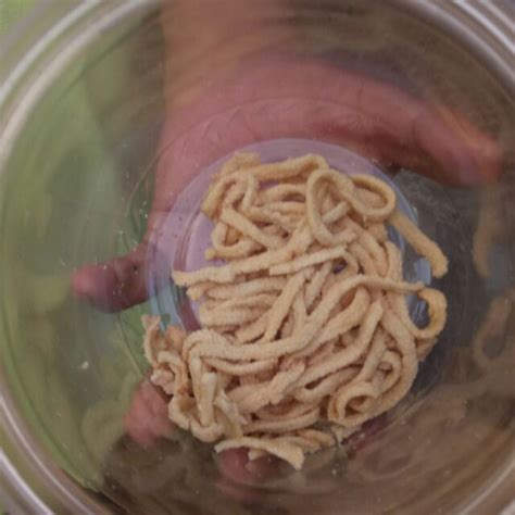 Mee Siput Orang Kampung Shopee Malaysia