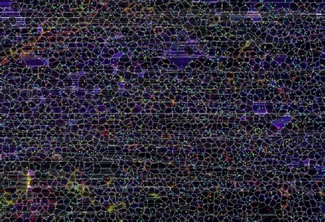 SpatInSituPlotPoints Segmentation White Streaking Issue 628