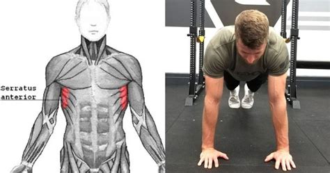 5 Serratus Anterior Exercises For Healthy Shoulders Sfostsee
