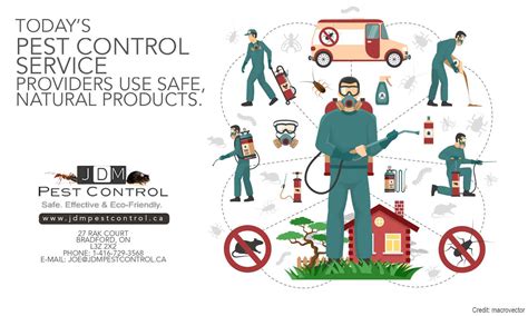 Do I Need To Leave The House For Pest Control Jdm Pest Control