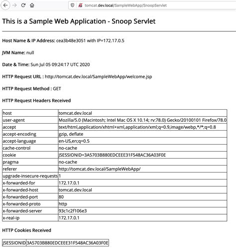 Traefik Docker Example And Introduction Devops Junction