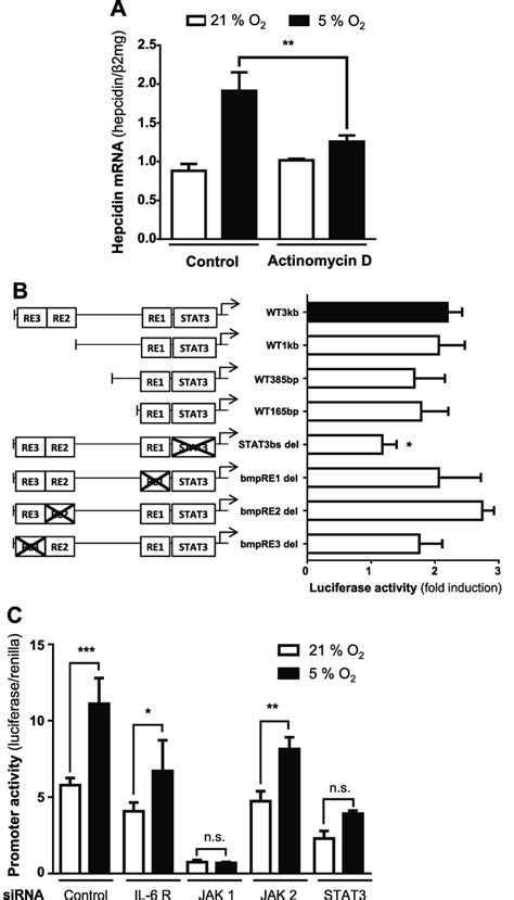 Hepcidin Promoter Activity Is Upregulated Under Hypoxia Via The Stat3