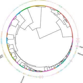 Protein Domain Based Hierarchical Clustering The Dendrogram Was