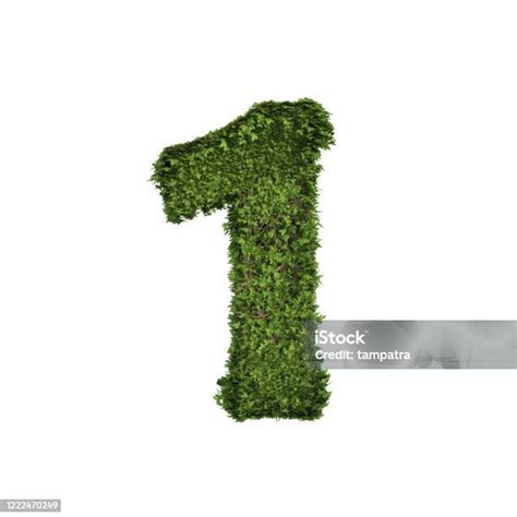 아이비 식물은 나뭇잎 녹색 크리퍼 부시와 덩굴 을 형성 하는 넘버 원 1 알파벳 텍스트 글꼴 문자 자연 성장 및 환경 개념에 흰색에 고립 3d 트리 그림입니다 숫자에 대한