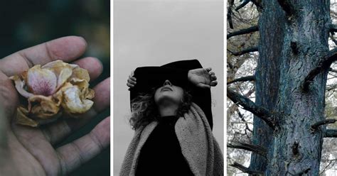 The Intj Cognitive Function Stack Psychology Junkie