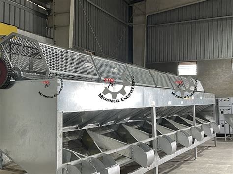cashew nut grading machine grader and sorting machines precision