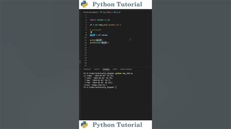 Convert Pandas Dataframe To Numpy Array Python Tutorial Youtube