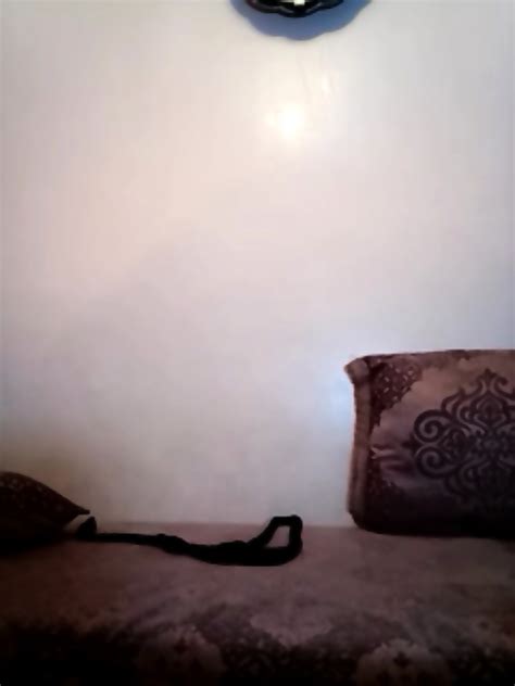 Louisa Eporner Louisa Eporner