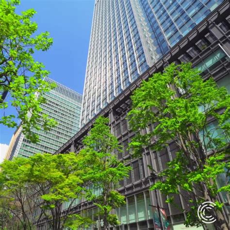 [video] cortex sustainability intelligence on linkedin