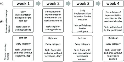 Training Plan With The A Strategy Based Training Using Implementation Download Scientific