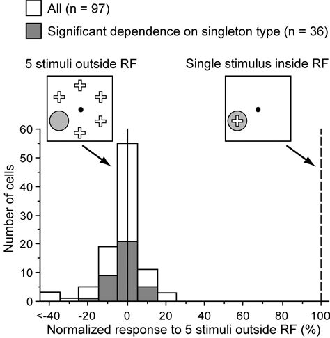 visual search array the items in the visual array were presented on a