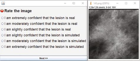 Sample Gui Imagej Where Observers Are Requested To Evaluate The Download Scientific Diagram