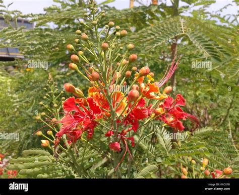 The Title Appears Incomplete Or Unclear And Further Context Is Needed To Provide An Accurate