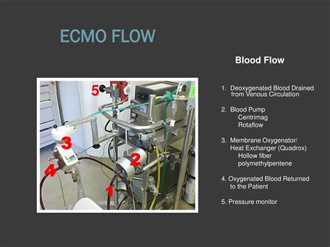 Ppt Ecmo And The Adult Patient Nursing Considerations Powerpoint Presentation Id 2054149
