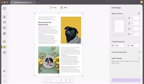 How To Crop A Pdf In Preview On Mac Effortlessly In 2024 Updf