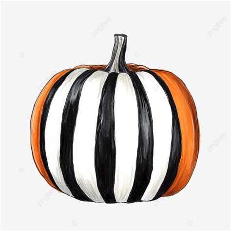 흑백 줄무늬 그리기가 있는 주황색 호박 주황색 호박 흑백 줄무늬 그림 Png 일러스트 및 이미지 에 대한 무료 다운로드 Pngtree