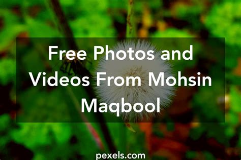 Mohsin Maqbool Photography