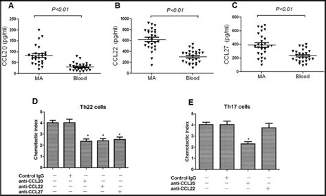 Recruitment And Significance Of Th22 Cells And Th17 Cells In Malignant