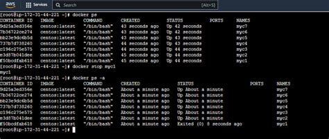 Docker Stop Command A Complete Tutorialdefnitionsyntaxexamples Geeksforgeeks