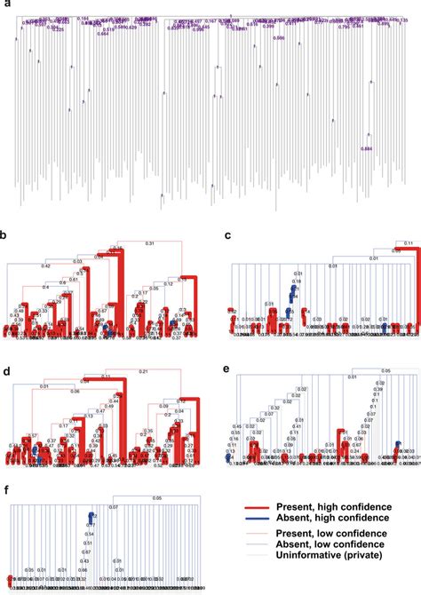 Construction Of The Phylogeny Using Different Methods A The Phylogeny