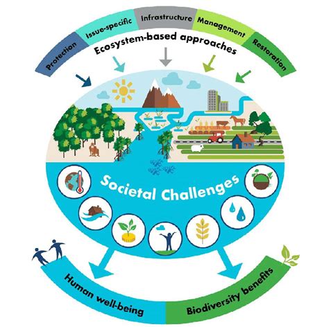 Conceptual Framework For Nbs Source Iucn 2020a Download Scientific Diagram