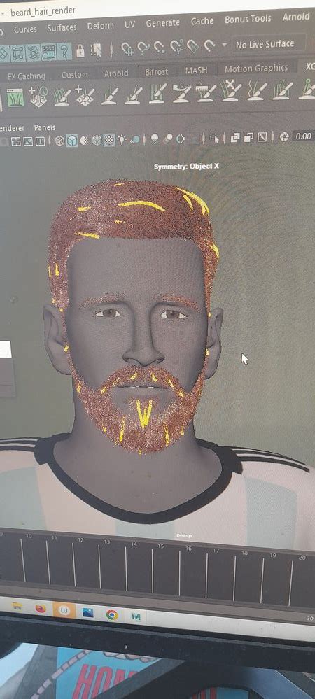 Cant See Xgen Groom In Arnold Render Autodesk Community