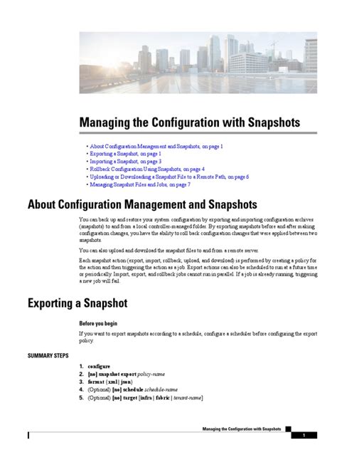 B Apic Nxos Cli User Guide 411 Chapter 010010 Download Free Pdf