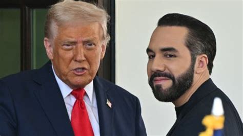 Nayib Bukele Presidente De El Salvador Noticias última Hora Vídeos
