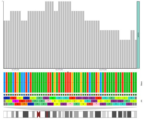 Visualize Genome Protein Coverage With Various Annotations • Ggcoverage