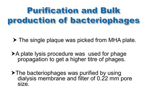 Isolation And Characterization Of Bacteriophages Against Staphylococcus Aureus Ppt Free Download